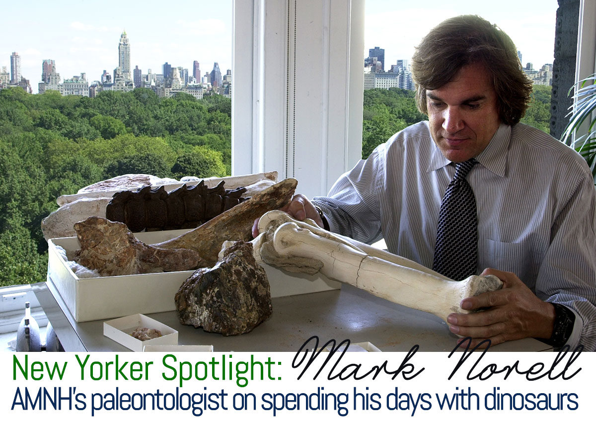 New Yorker Spotlight: Paleontologist Mark Norell Works Spends His Days ...