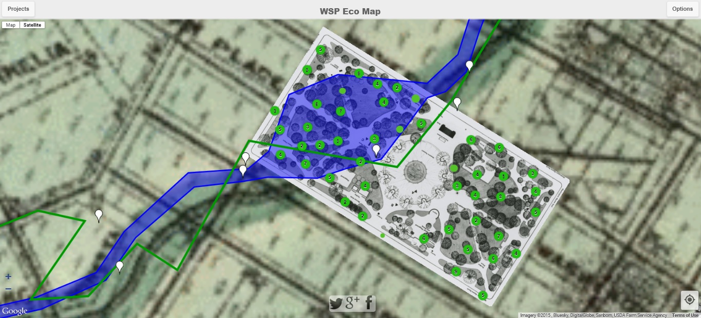 WSP Eco Map Tracks the Hidden Minetta Creek and Trees of Washington ...