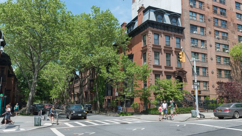 Help Count How Many Street Trees Are in NYC | 6sqft