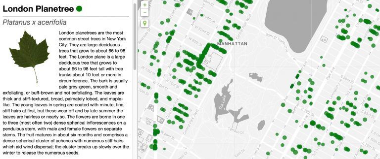 MAP: NYC has more than 666,000 street trees, up 12 percent since 2006 ...
