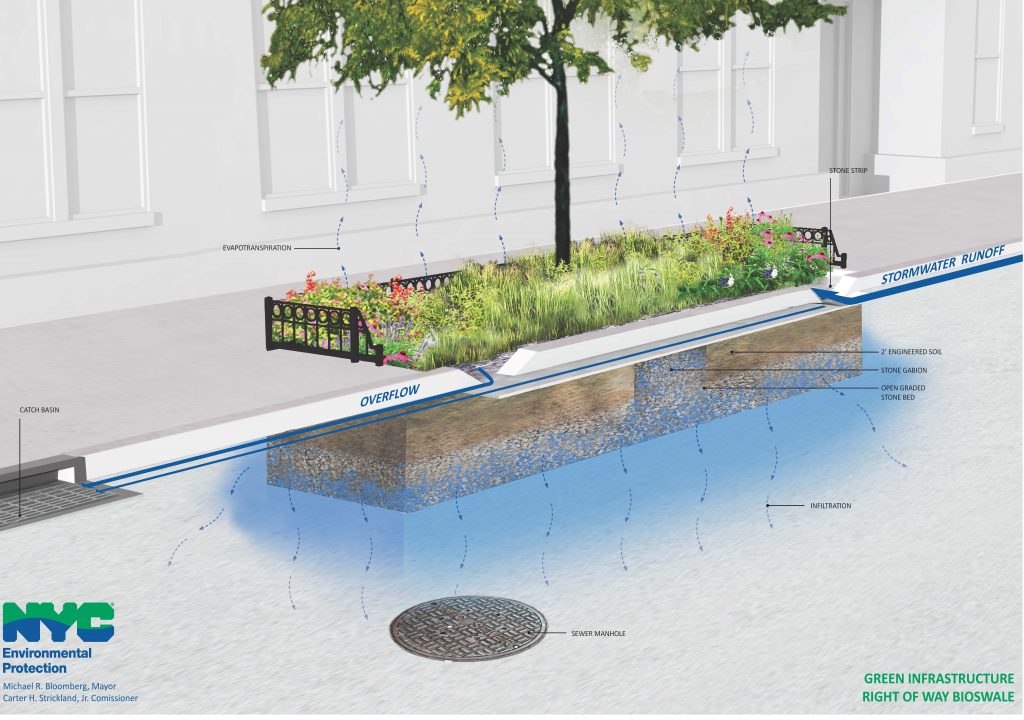 Bioswales face backlash from city residents | 6sqft