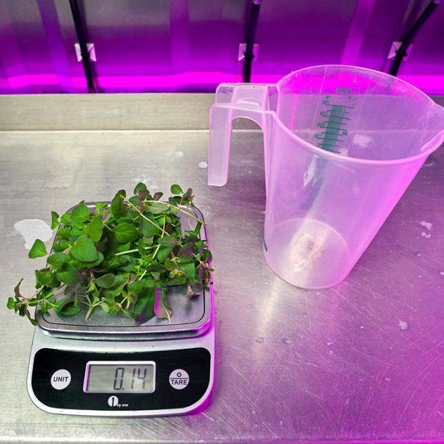 Where I Work: Go inside Square Roots' futuristic shipping container ...