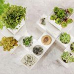 The LeGrow modular 'smart garden' is a LEGO-like system that makes ...