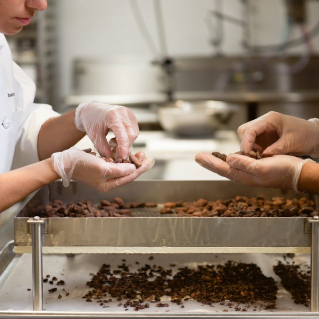 VIDEO: See how bean-to-bar chocolate gets made at the Institute of ...
