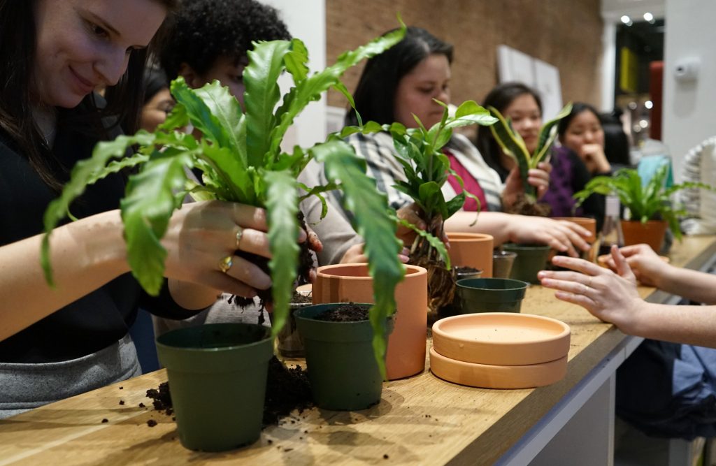 The 10 best spots for plant classes in NYC | 6sqft