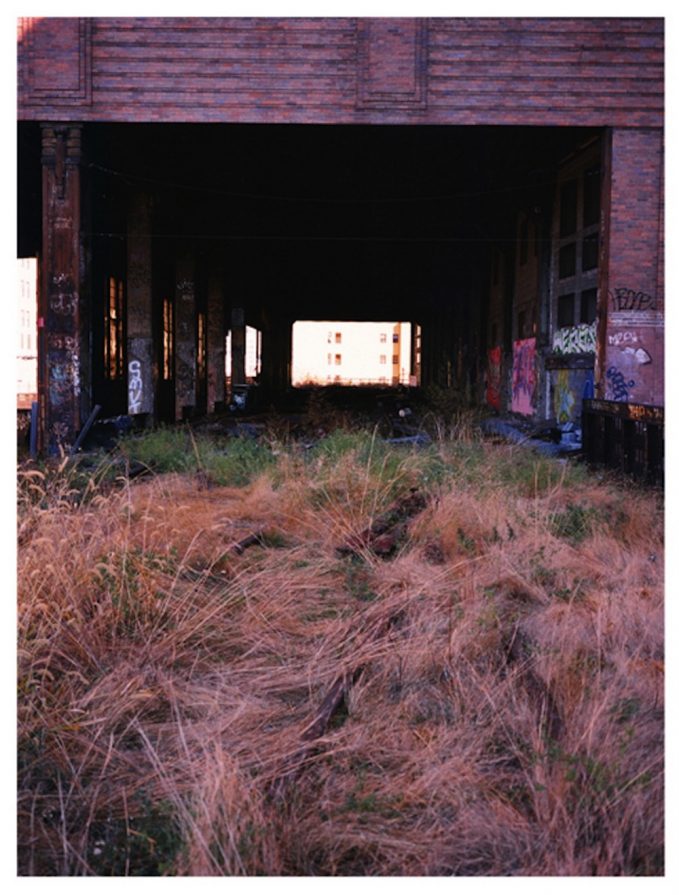 PHOTOS: See an abandoned High Line before its days as a public park | 6sqft