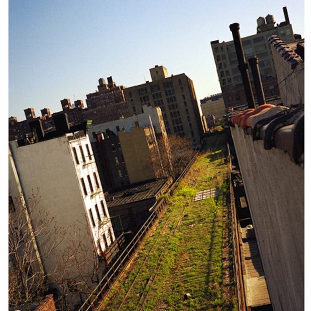 PHOTOS: See an abandoned High Line before its days as a public park | 6sqft