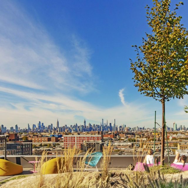 A hydroponic farm, mini golf, and rock climbing: Inside Bushwick's ...