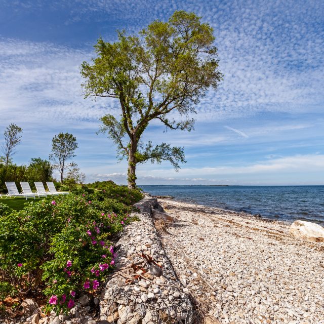 Six-acre private island in Connecticut with a charming cottage asks $2 ...