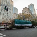 The 2020 Rockefeller Center Christmas Tree has officially arrived in ...