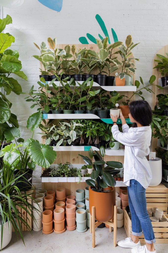 Plant pro The Sill opens new shop in the heart of Williamsburg | 6sqft
