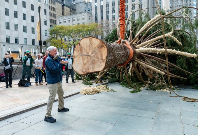 The 2021 Rockefeller Center Christmas Tree has arrived in NYC | 6sqft