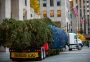 The history of the Rockefeller Center Christmas Tree, a NYC holiday ...