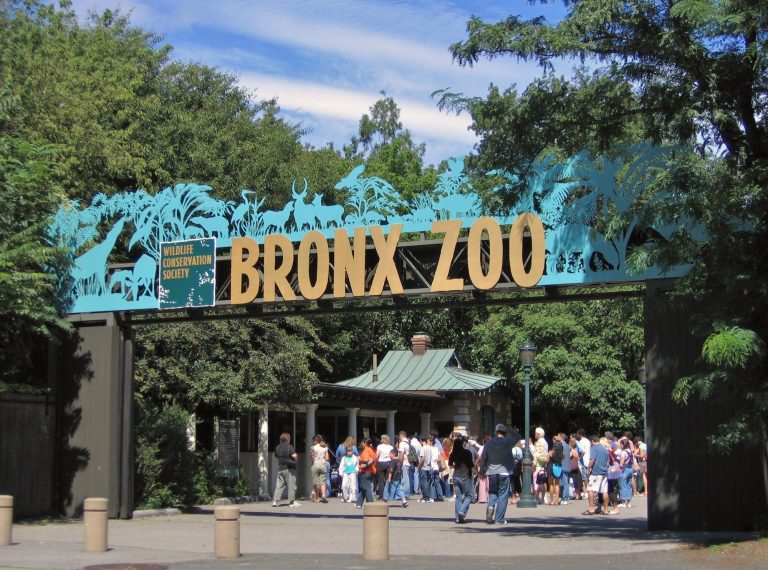 10 fun things to do near Yankee Stadium | 6sqft
