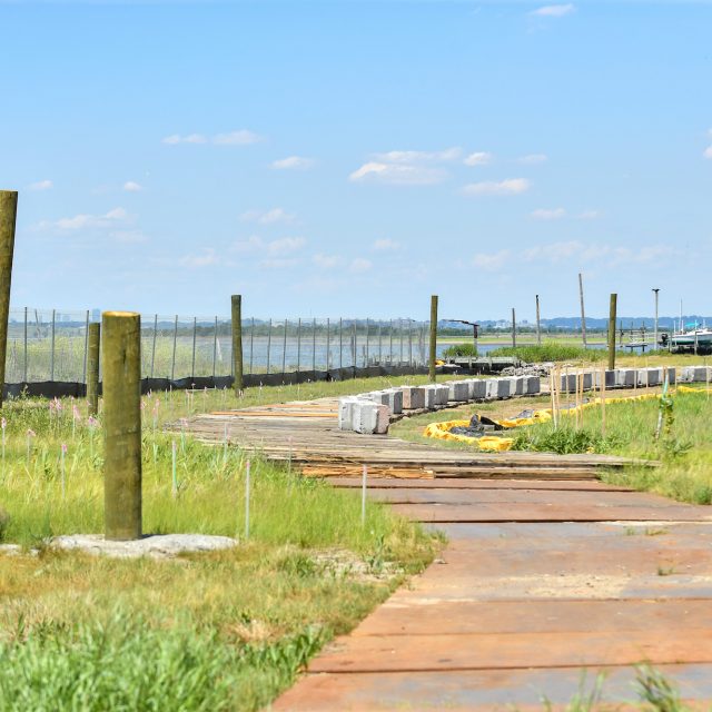 New Yorker Spotlight: Sara Cedar Miller and Larry Boes of the Central ...