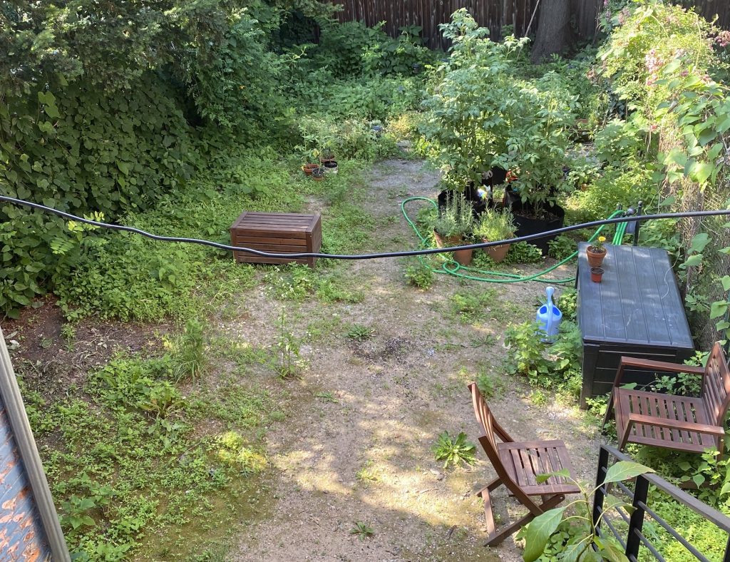 From neglected mud patch to outdoor oasis, a Brooklyn backyard gets a ...