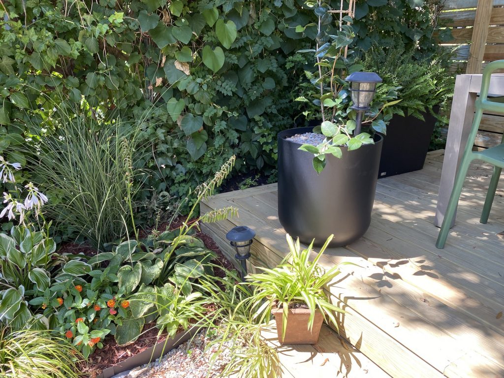 From neglected mud patch to outdoor oasis, a Brooklyn backyard gets a ...