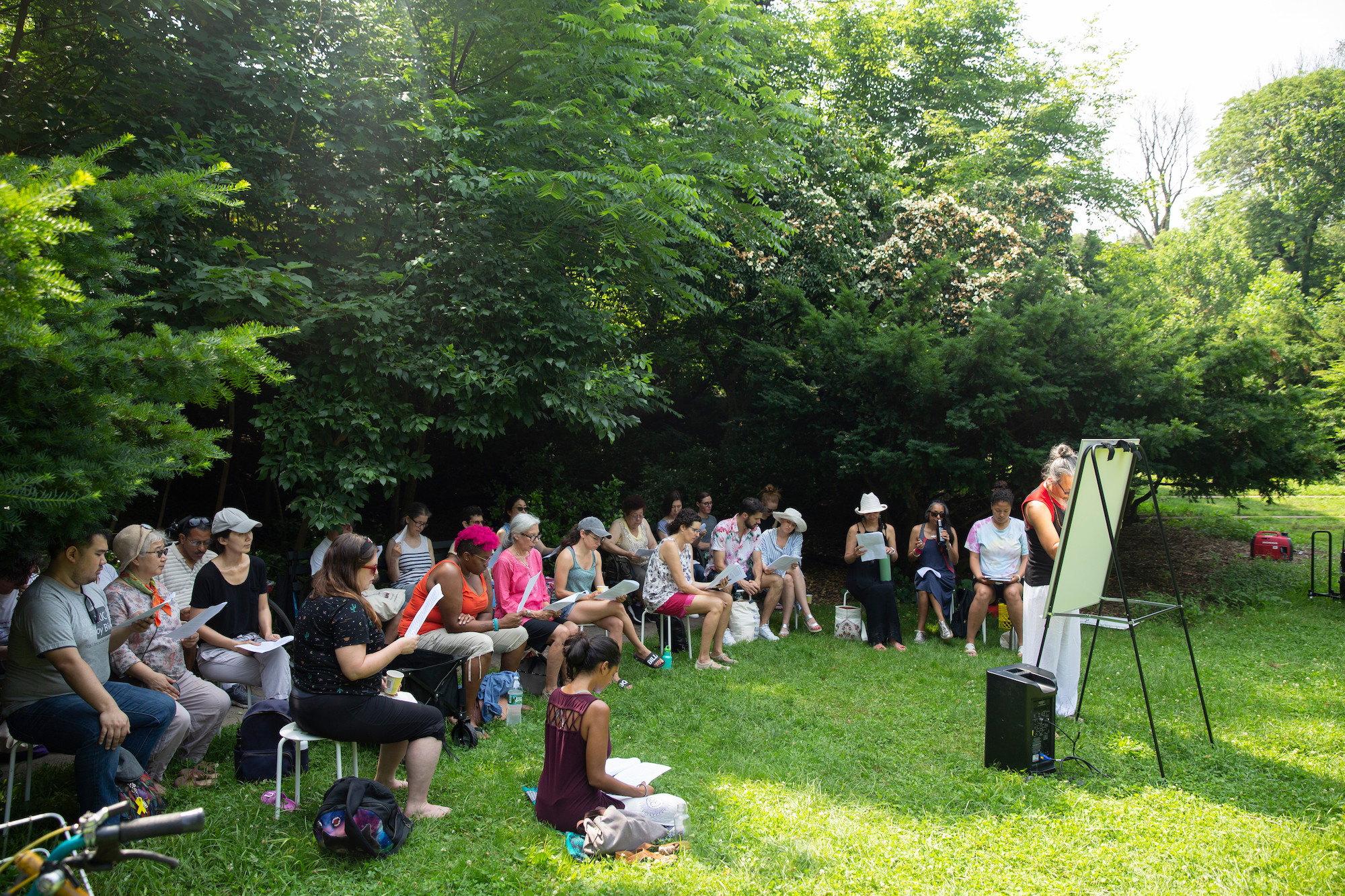 Free classes taught by immigrant professors and experts return to ...