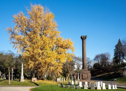 17 best spots to see fall foliage in NYC | 6sqft