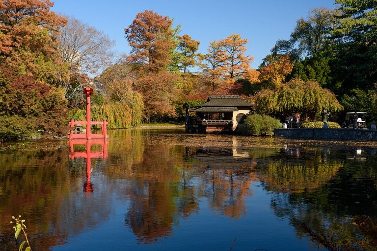17 best spots to see fall foliage in NYC | 6sqft