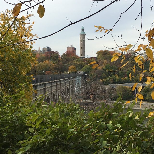 17 best spots to see fall foliage in NYC | 6sqft