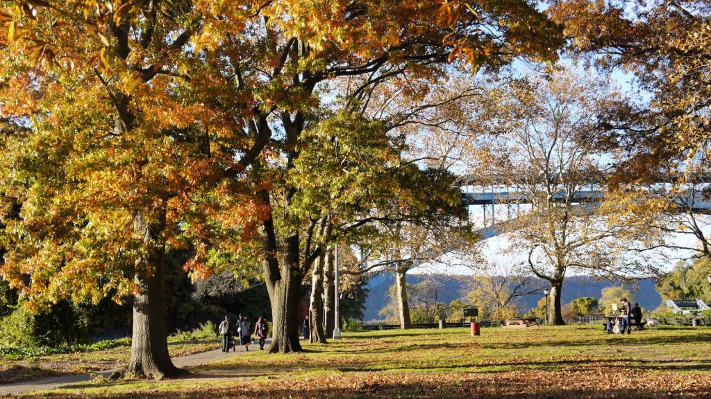 17 best spots to see fall foliage in NYC | 6sqft