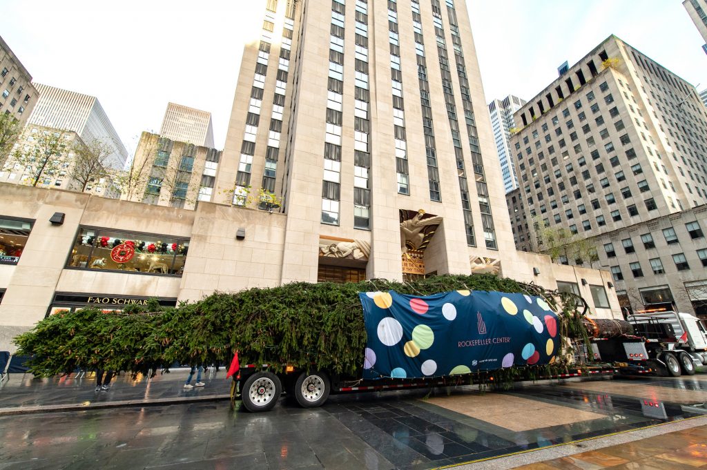 The 2022 Rockefeller Center Christmas Tree has arrived in NYC | 6sqft