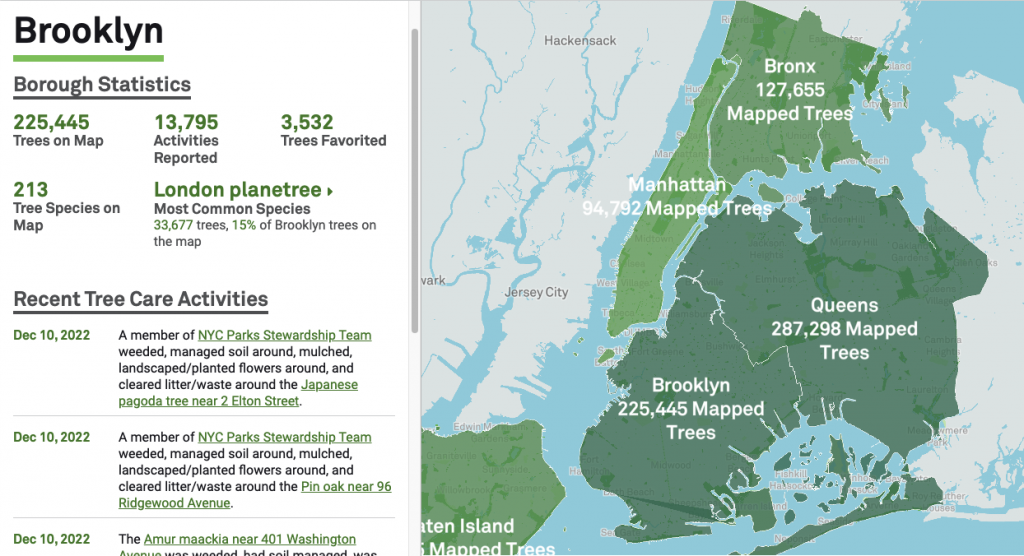 Interact with nearly 1M NYC trees through a new digital map | 6sqft