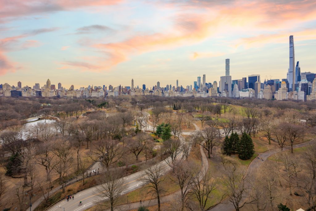 $27.5M palatial penthouse has a front-row view of Central Park and ...